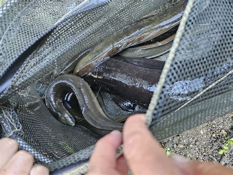 Mauri Compass 2025 Te Rūnanga O Ngāti Mutunga