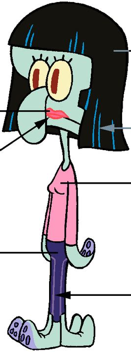 Squid Incidentals Encyclopedia Spongebobia Fandom