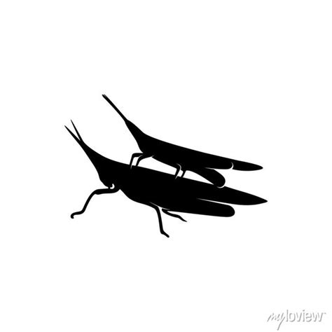 Grasshopper Logo Design Vector Illustration Grasshopper Design Canvas