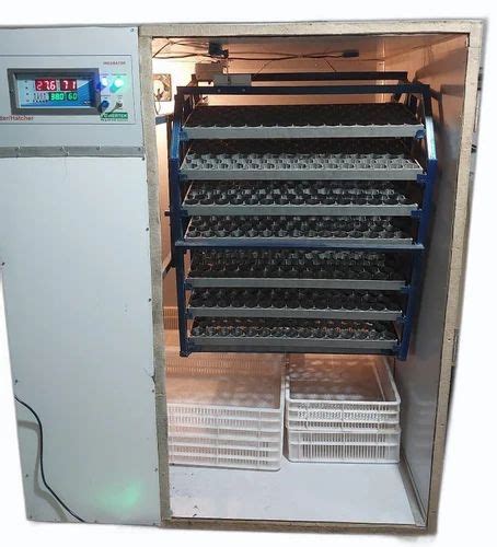 Egg Hatching Machine Automatic At ₹ 82600 In New Delhi Id 2850950295597