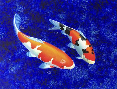 Koi Painting Atelier Yuwa Ciao Jp