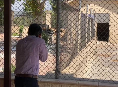 Vet Dr Muhammad Talha Khalid On Linkedin First Time Ever Complete