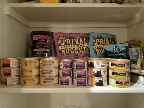 How To Store Open Can Of Cat Food At Marie Vicente Blog