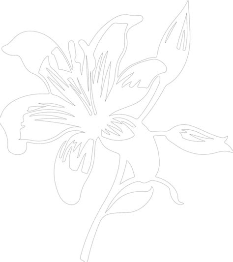 Premium Vector Lily Outline Silhouette White Background
