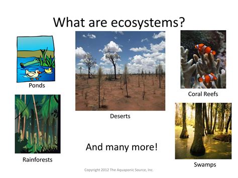 Lesson Ecosystem PPTX Geography Science
