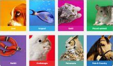 Il PetsFestival 2021 Riparte In Presenza Il 16 Ed Il 17 Ottobre A Cremona