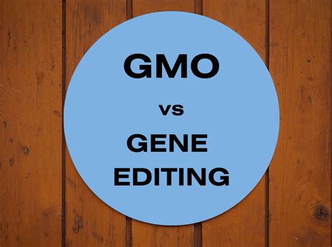 Gene Editing Primer Whats The Difference Between CRISPR Crops And