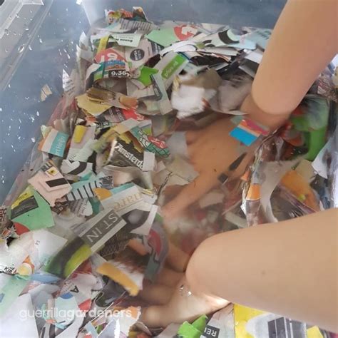 Bloempapier Maken Guerrilla Gardeners