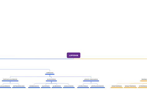 Lipidos Mind Map