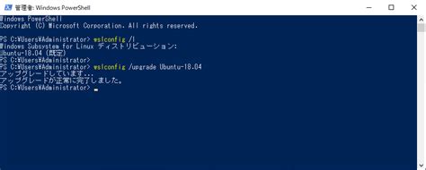 wsl インストール windows server 2019でubuntu ps work