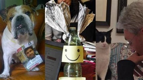 Primarie Se Gli Spin Doctor Sono Un Cane Micio E Un Minollo Corriere It