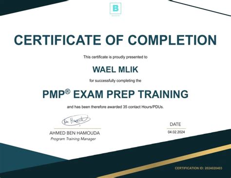 Pmp Projectmanagement Training Wael Mlik 12 Comments
