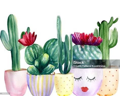 植木鉢の緑のサボテンの水彩画の手描きコレクション まぶしいのベクターアート素材や画像を多数ご用意 まぶしい イラストレーション