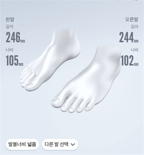 펄핏 발 사이즈 지식in