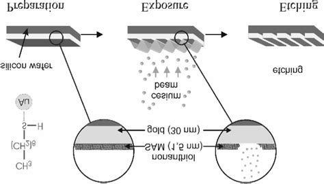 Schematic Representation Of The Exposure And Wet Etch Development Of