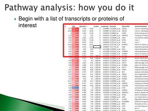 Ppt Pathway Analysis Powerpoint Presentation Free Download Id2165041