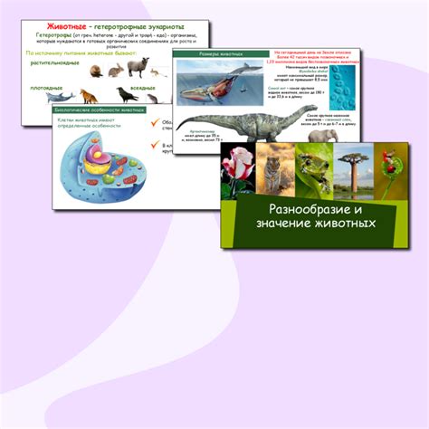 Презентация Многообразие и значение животных биология 5 класс