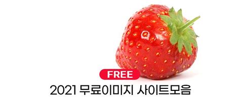 저작권 없는 무료 이미지 사이트 파쿠타소 저작권 걱정없는 무료이미지사이트모음 All Free