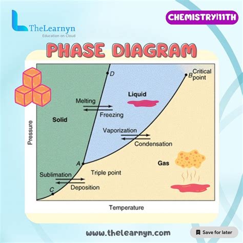 Best 13 Learn How To Read A Phase Diagram Artofit