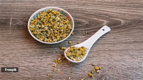 Can Herbal Pan Masala Chews Help Gutka Tobacco Addicts Make A Safe