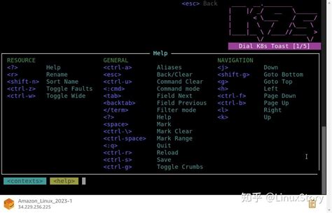 在 amazon linux 2023 上安装 k9s 的方法 知乎