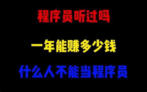 程序员听过吗：一年能赚多少钱？什么人不能当程序员 省大人的 省大人的 哔哩哔哩视频
