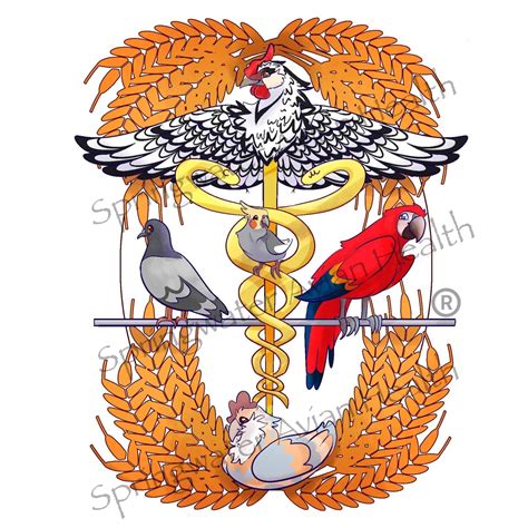 Springwater Avian Health Llc Estacada Or