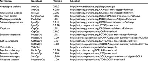 Overview Of Plant Species Specific Metabolic Pathway Databases