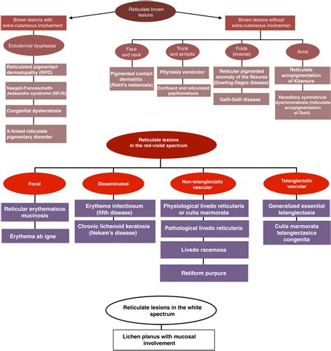 Reticulate Skin Lesions Practical Color Based Algorithm For Initial
