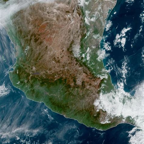 España Desata La Indignación Del Sector Ganadero Tras Dar Al Lobo