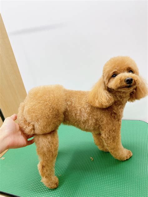 ブログ｜横浜市港北区の動物病院なら、そら動物病院｜妙蓮寺駅・徒歩7分