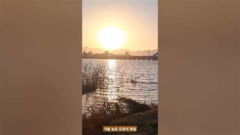 겨울 늦은 오후 풍경 Youtube