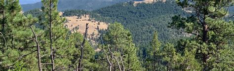 Emmetts Trail And Mini Ridge Loop 51 Reviews Map Montana Alltrails