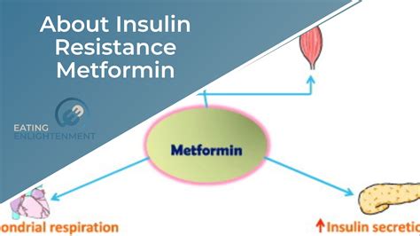 What You Need To Know About Insulin Resistance Metformin — Eating Enlightenment