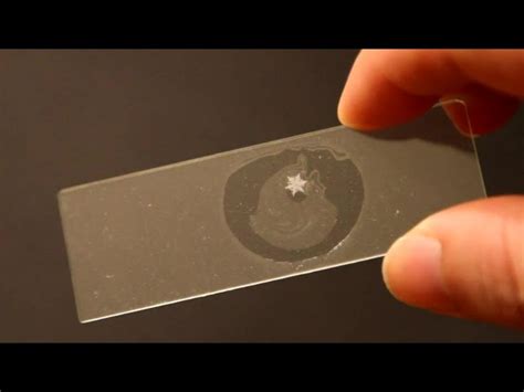 How To Preserve A Snowflake Tips From The Experts Stuffsure