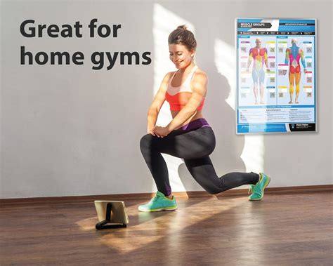 Muscle Building Exercise Posters For Gym And Home Philippines Ubuy