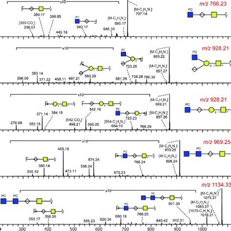Phosphorylcholine Is A Modification Of O Glycans From Caenorhabditis