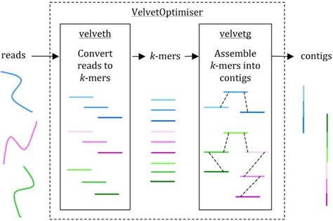 Beginners Guide To Comparative Bacterial Genome Analysis Using Next Generation Sequence Data