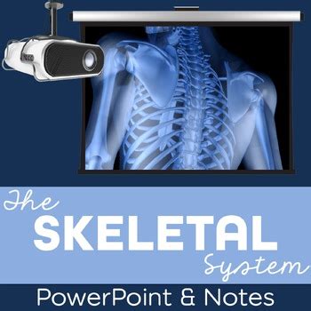 Skeletal System Ppt