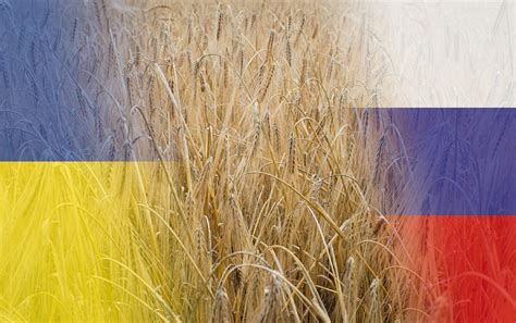 Russian Grain Deal Exit Risks World Food Insecurity