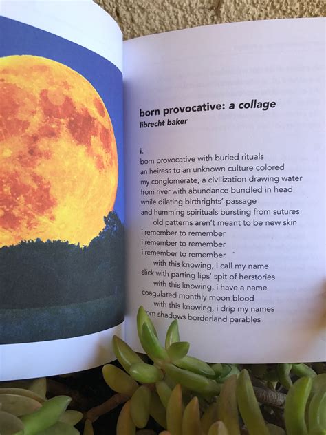 Provocative Poetry By Librecht Baker