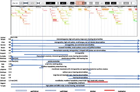 Overview Of The Relevant CNVs Reported In The Literature That Overlap