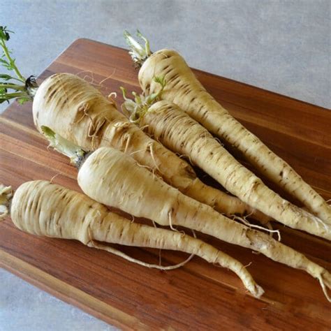 Parsnips Growing Harvesting Use Cautions