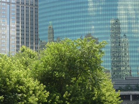 Green Trees And A Modern Glass Building In Downtown Chicago Illinois