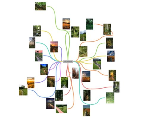 Path Aesthetic Coggle Diagram