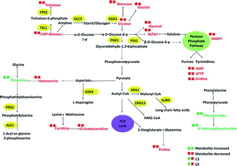 Flux Analysis Of Highly Influential Metabolites In Group Discrimination