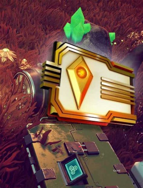 Pugneum Location In Nms