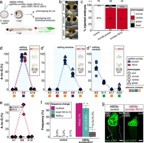 Figures And Data In Precise In Vivo Functional Analysis Of Dna Variants