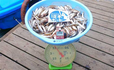 釣果にこだわる淡水釣り愛好家のルーティーン 釣った魚の重量とサイズは必ず計測 Tsurinews