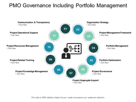 PMO Governance Including Portfolio Management PowerPoint Slides Diagrams Themes For PPT